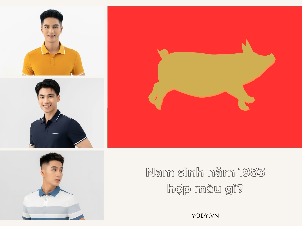 Nam sinh năm 1983 hợp màu gì? Mệnh gì? Sự nghiệp ra sao? | Yody